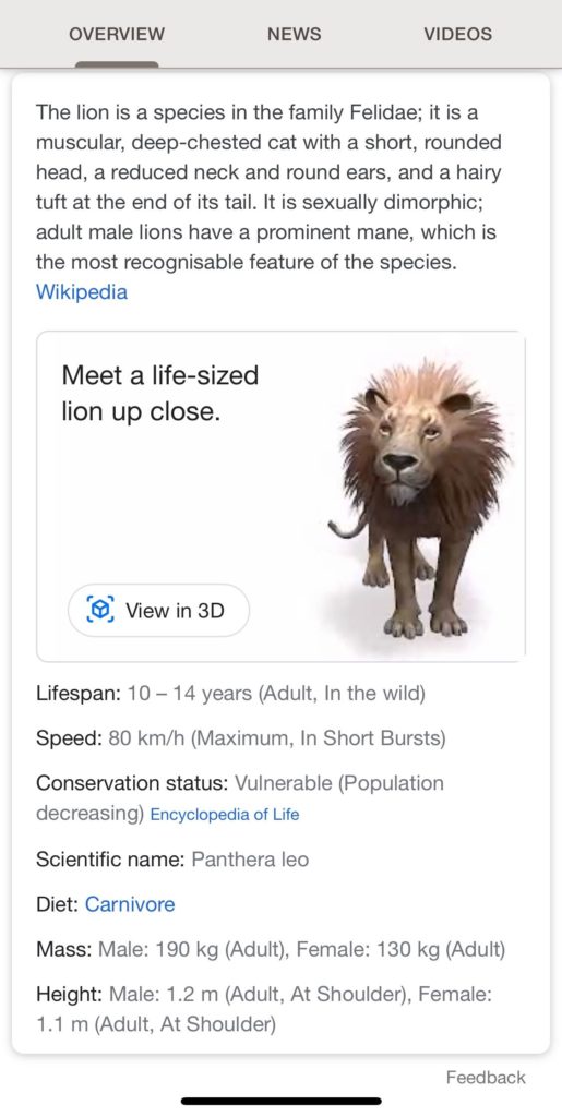 Animals are now recognized as entities on AMP Stories