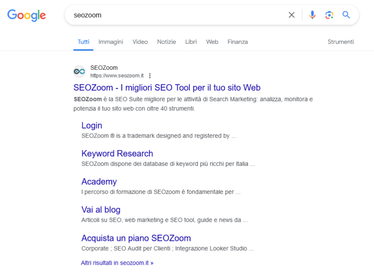 Google SERP: what it is, how it works, what it looks like